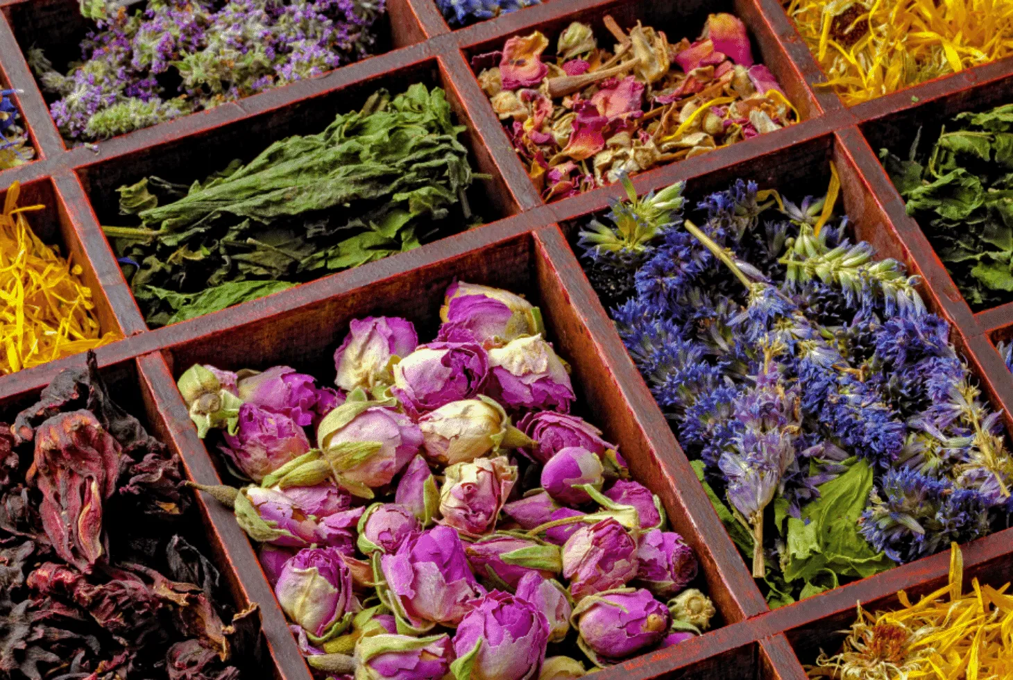 Các loại trà thảo dược giúp ngủ ngon tốt cho sức khỏe